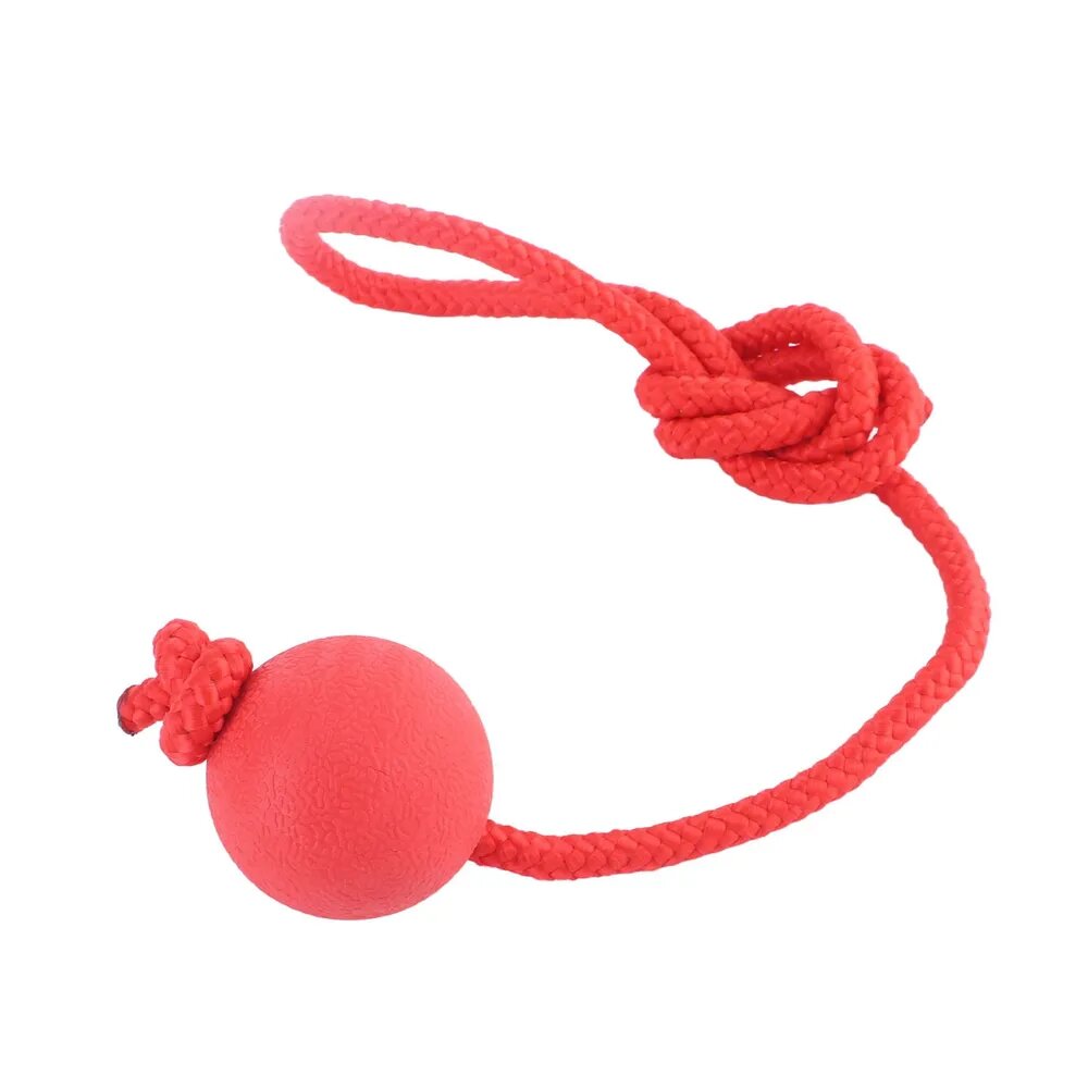 Мяч для собак, игрушка-веревка, интерактивный, устойчивый к укусам, безопасный резиновый мяч для собак с веревкой для тренировок на открытом воздухе, 5 см/2 дюйма