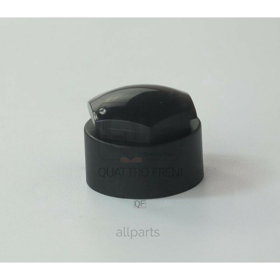 QUATTRO FRENI QF33G00299 Колпачок защитный колесного болта