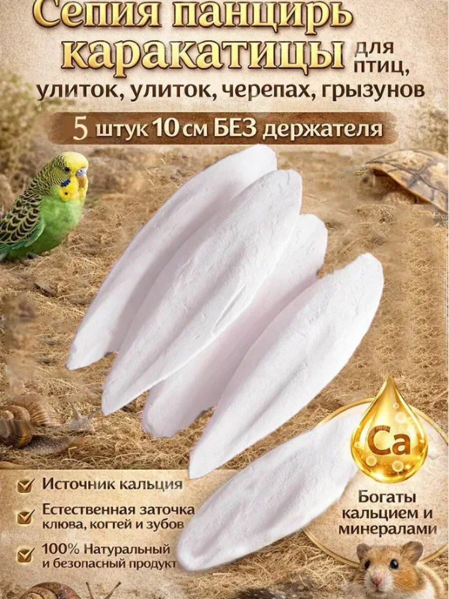 Сепия панцирь каракатицы для птиц, улиток, черепах, грызунов 10 см без держателя кальций для птиц кальциевая подкормка