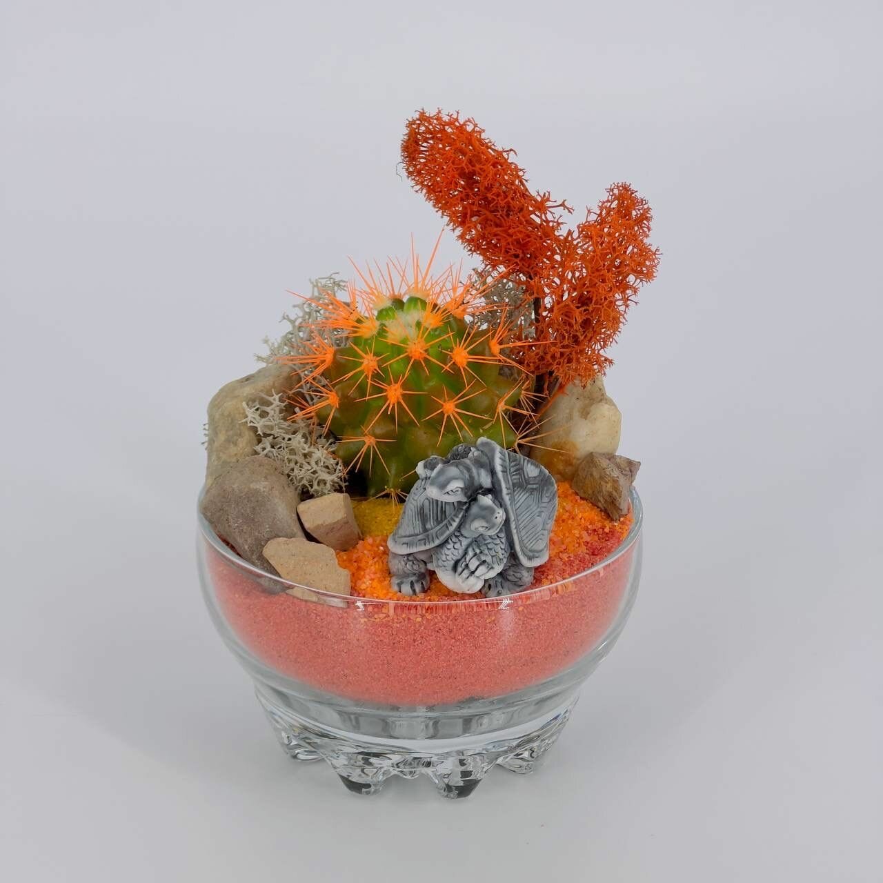 Флорариум кактус с фигуркой черепаха