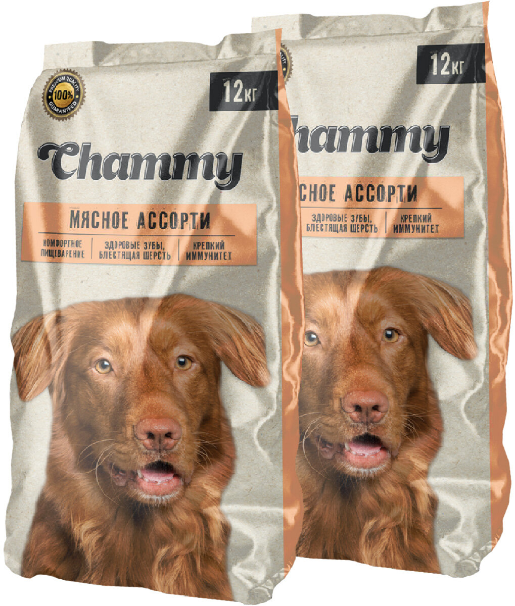 CHAMMY для взрослых собак крупных пород с мясным ассорти (12 + 12 кг)