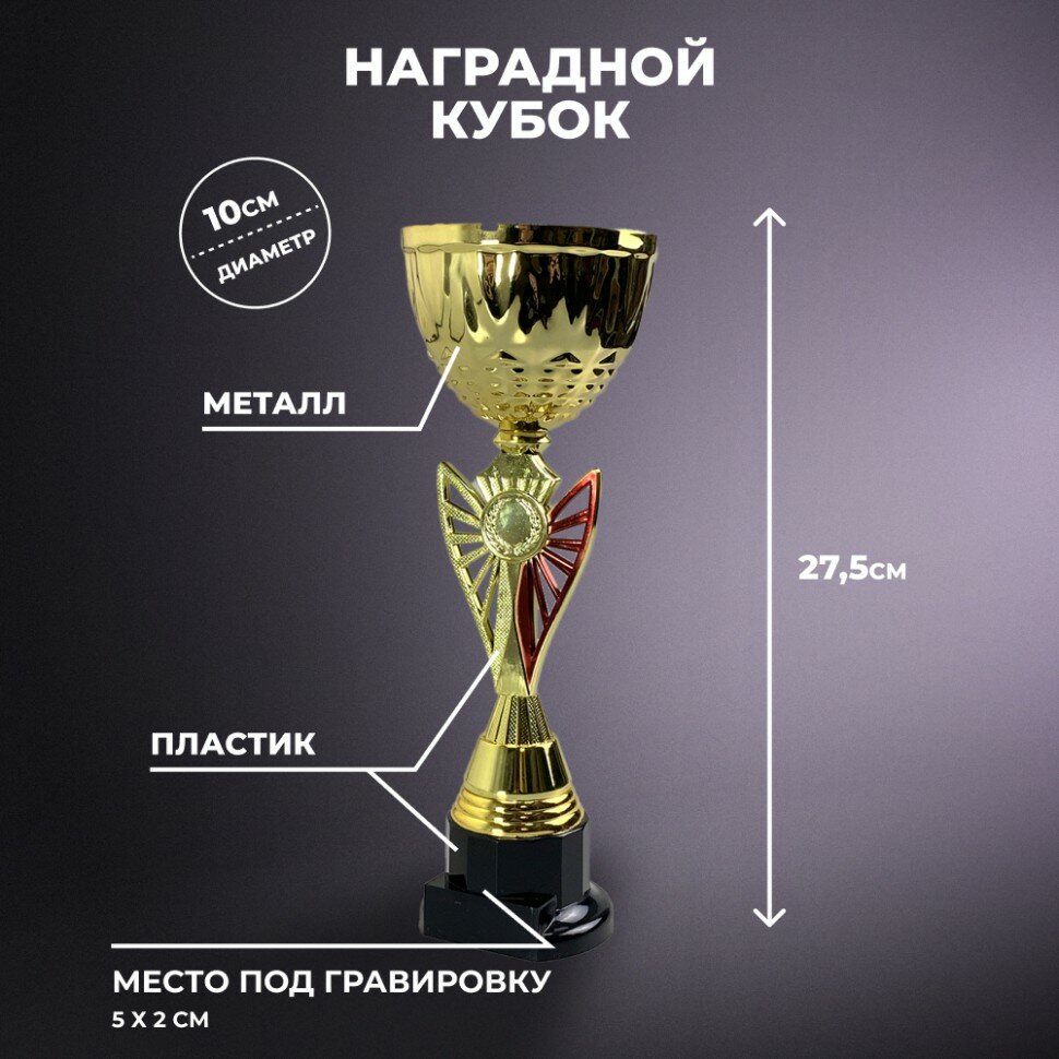 Наградной спортивный кубок на пластиковом постаменте (27,5 см)