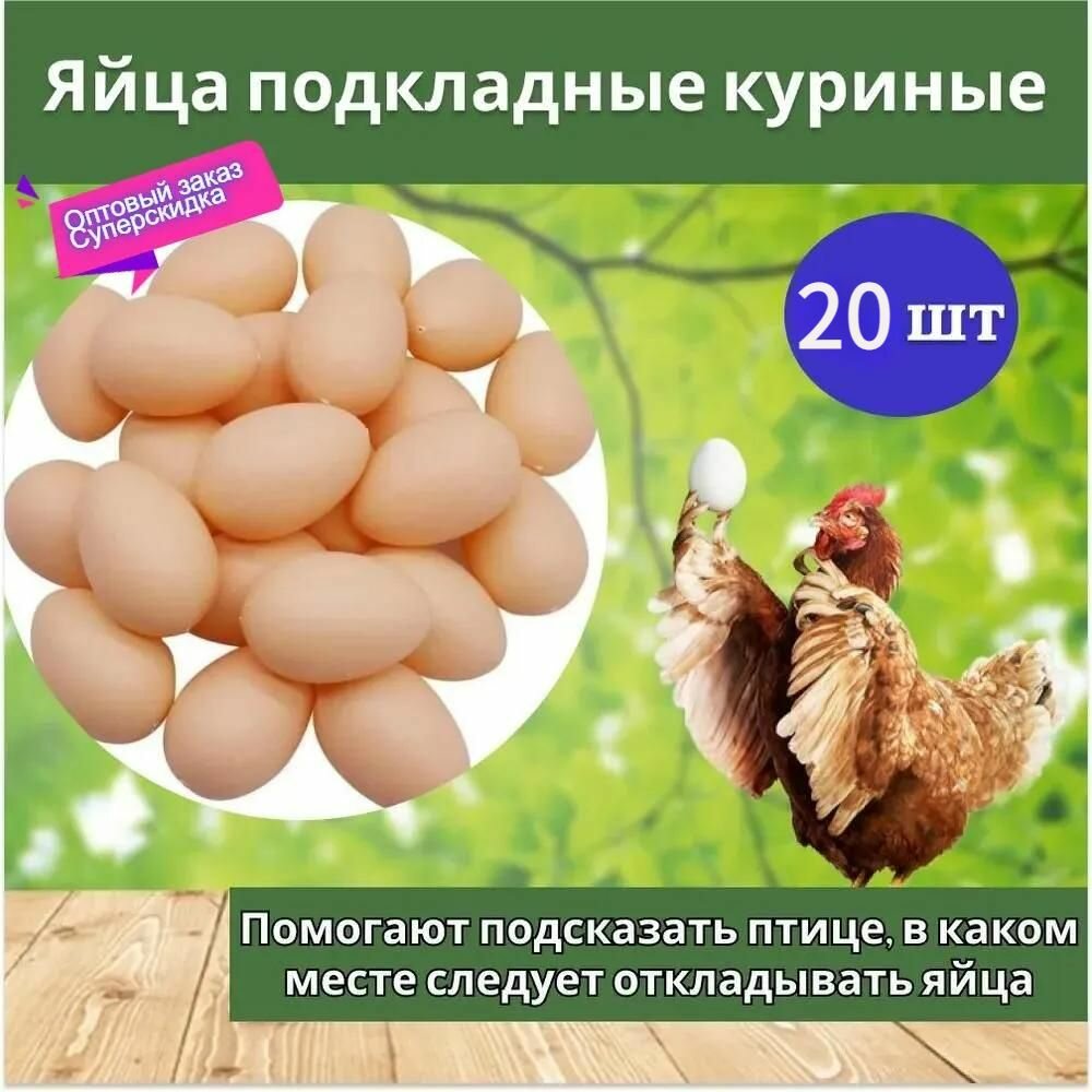 Имитационные яйца для курятников (набор из 10 штук), поддельные яйца для птичников, искусственные яйца из прочного пищевого ПП, инструмент для обучения кур ложить яйца в назначенные гнезда, используется на фермах для регулировки поведения кур,