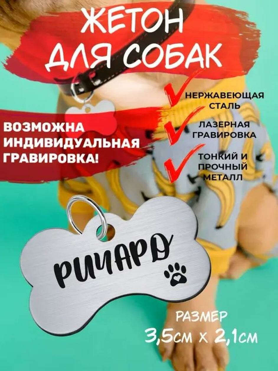 Адресник для собаки с гравировкой, нерж. сталь, серебристый, Ричард
