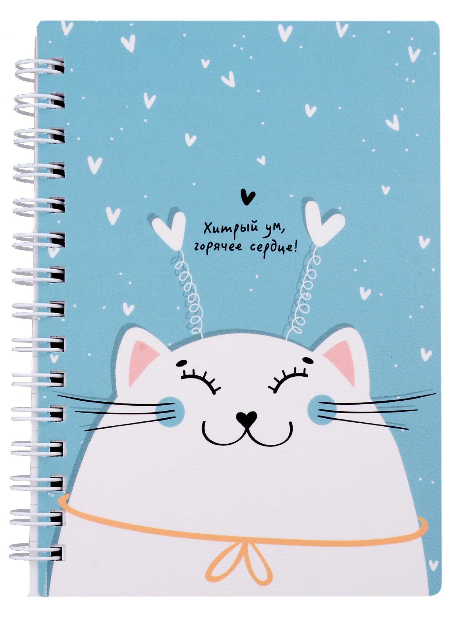 Записная книжка 102*142мм 80л кл. "Mur-Mur", голубой, карт. обл, спираль, микротекстурирование, ламинация