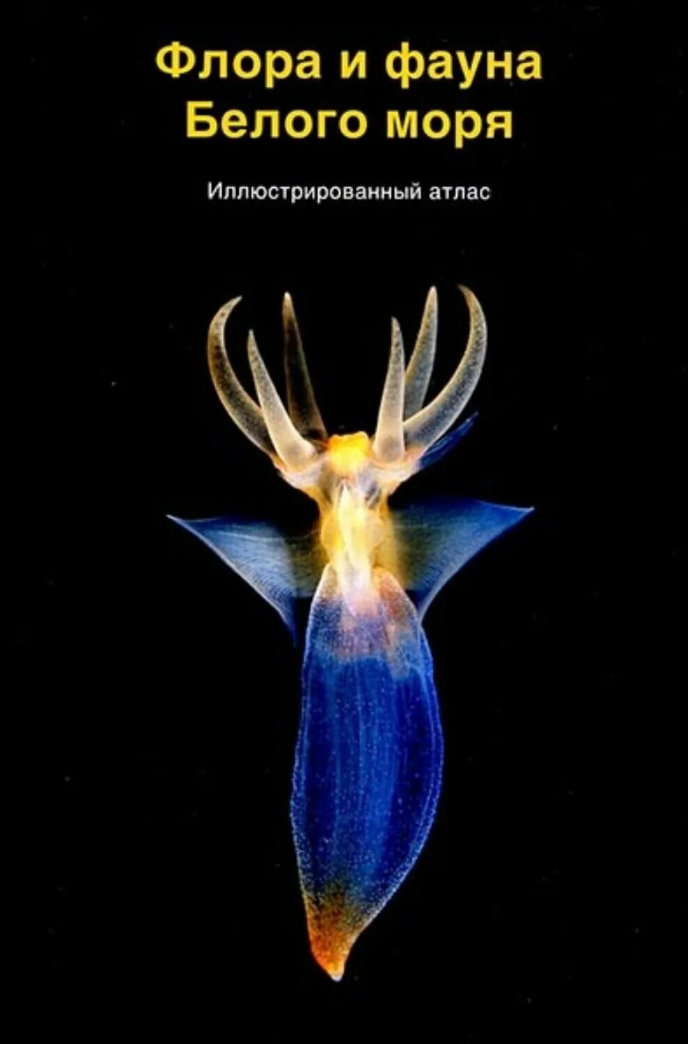 Флора и фауна Белого моря [Цифровая книга]