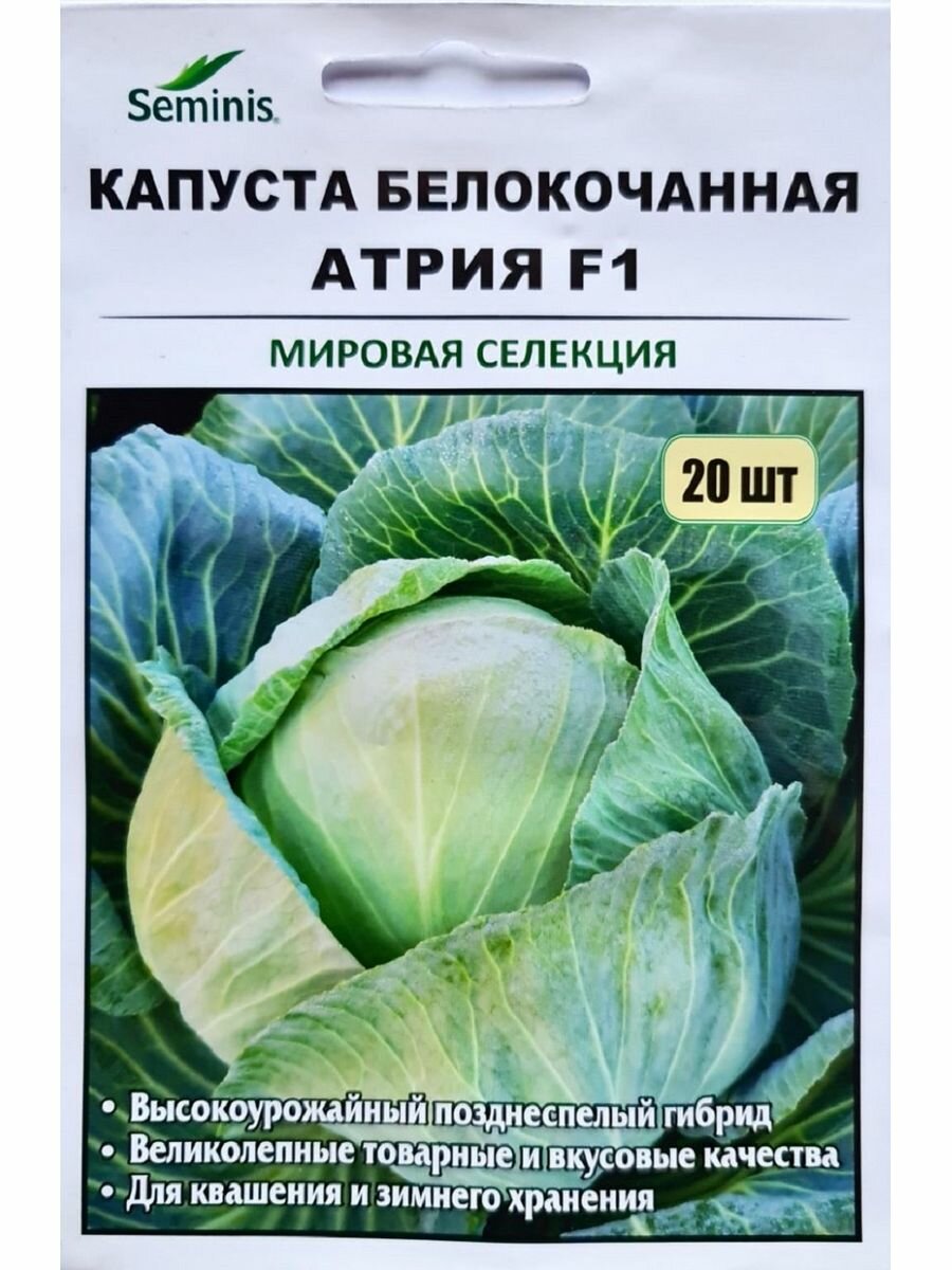 Капуста белокочанная Атрия F1