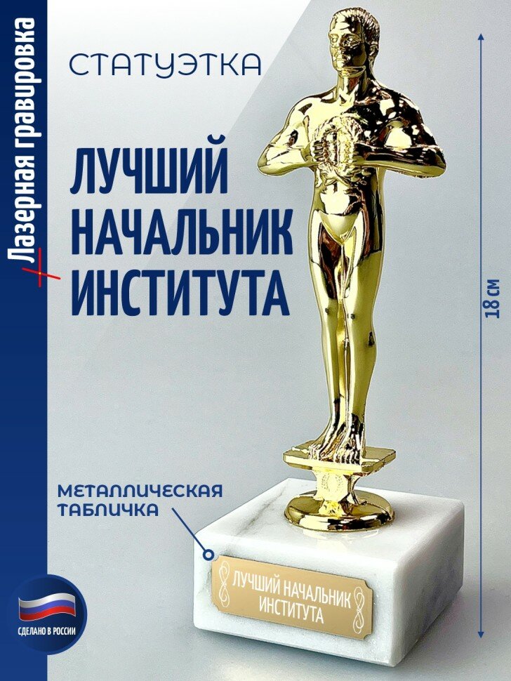 Награда "Лучший начальник института" (18 см)