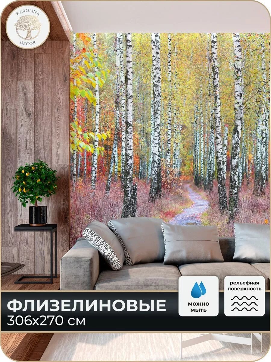 Фотообои Березы в спальню, в зал 300х270