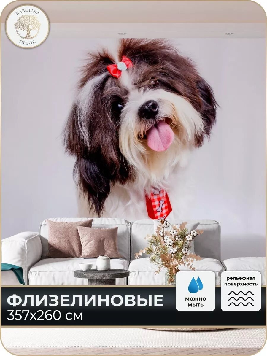 Фотообои Собака в детскую в спальню на кухню 350х260