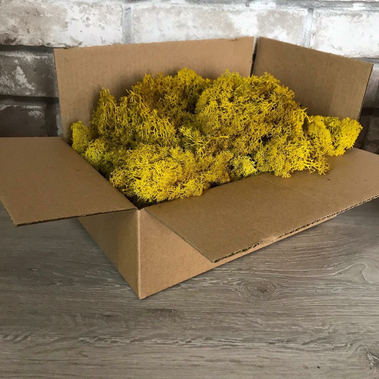 Стабилизированный мох ягель 0,5 кг желтый/мох для декора, дизайна, озеленения/лесной, природный мох для хобби и творчества