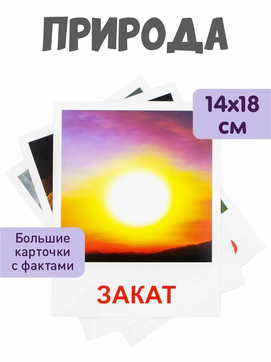 Обучающие карточки Домана "Природа" Всезнайка KoroBoom, 20 больших плотных развивающих для самых маленьких с фактами и реалистичными картинками для малышей