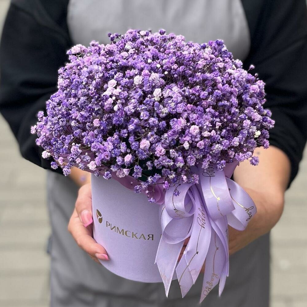 Коробка с фиолетовой гипсофилой с бантом, 11 штук - римская роза