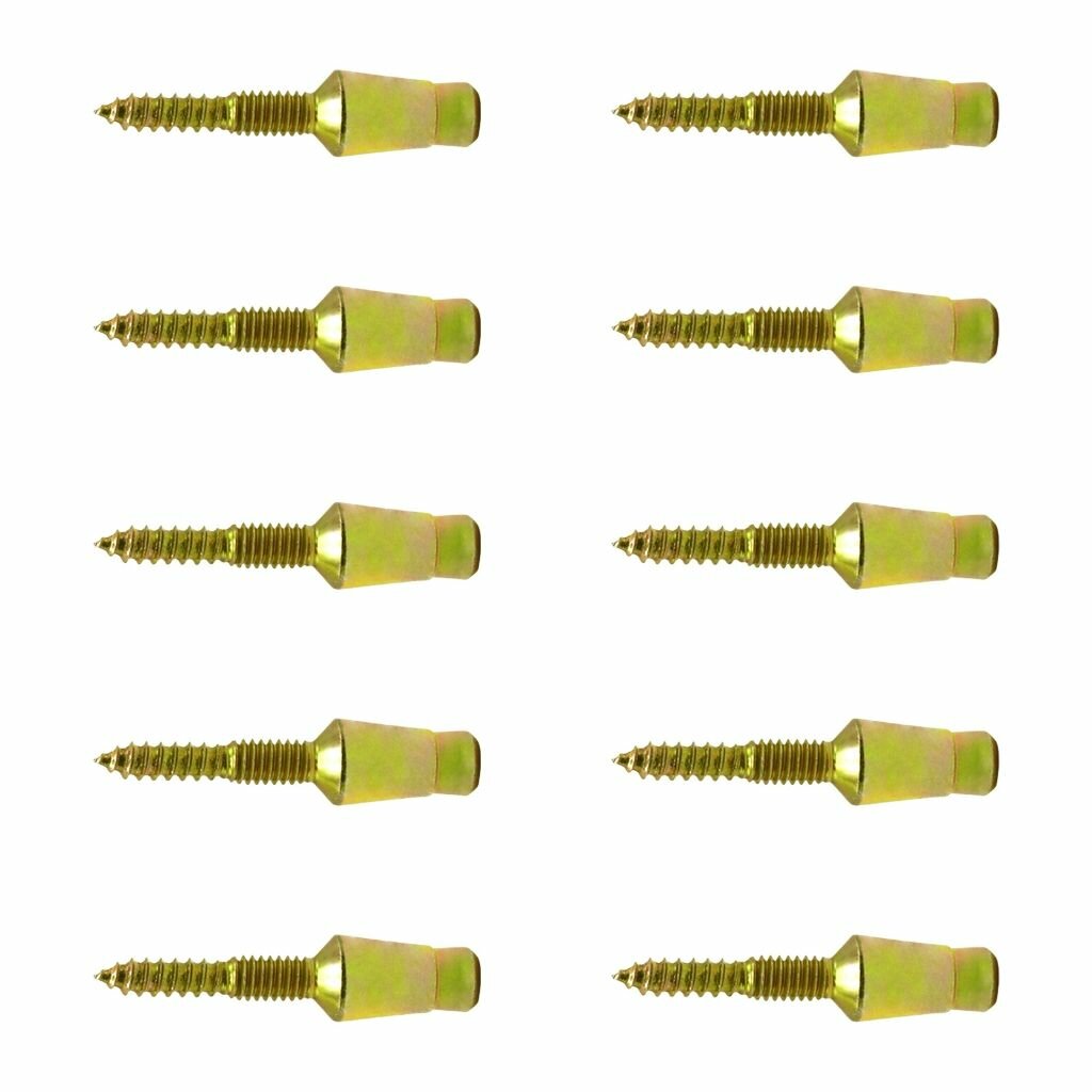(10 шт.) Винты безопасности дверных петель M4.5