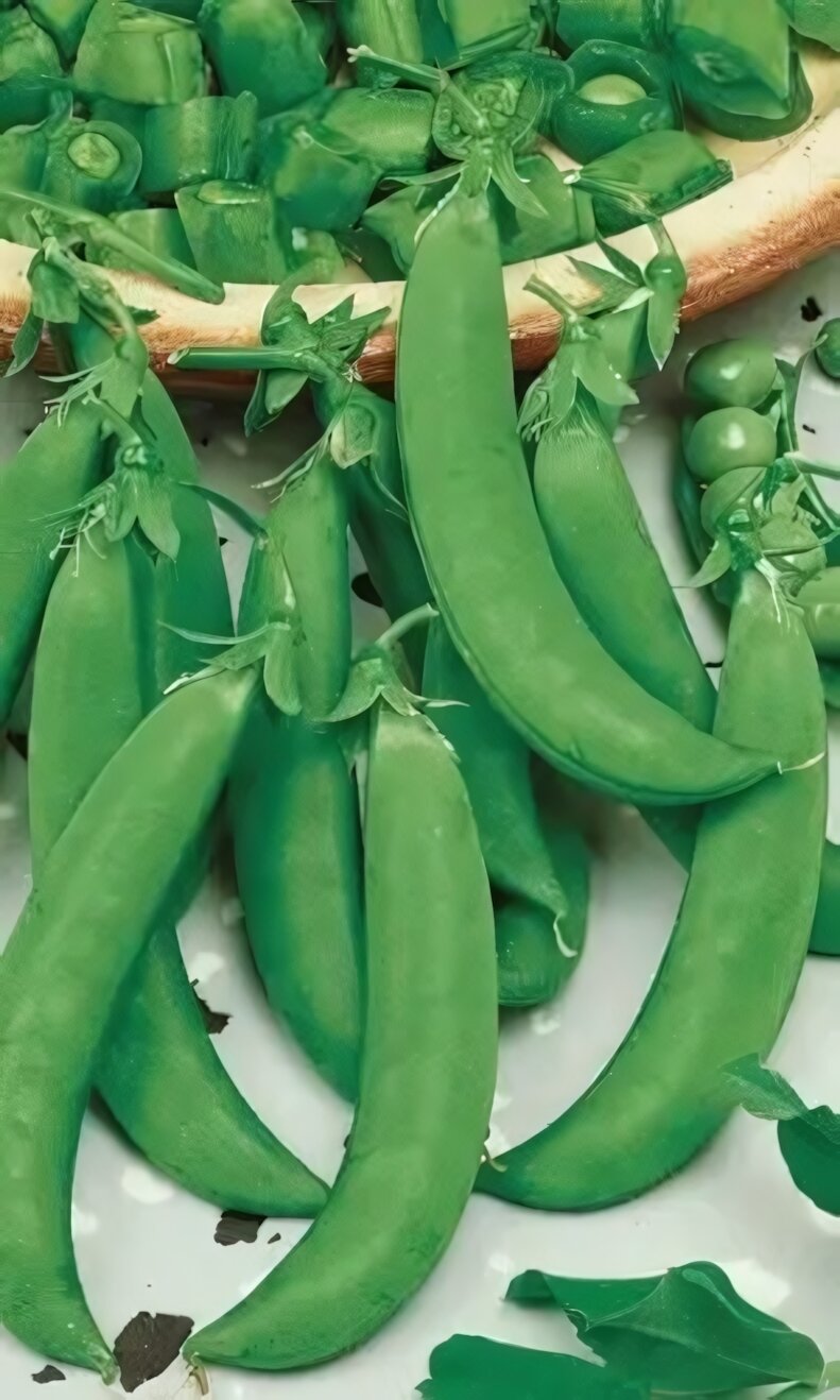 Семена гороха Уральский дачник 8г, раннеспелый, для свежего употребления и заморозки