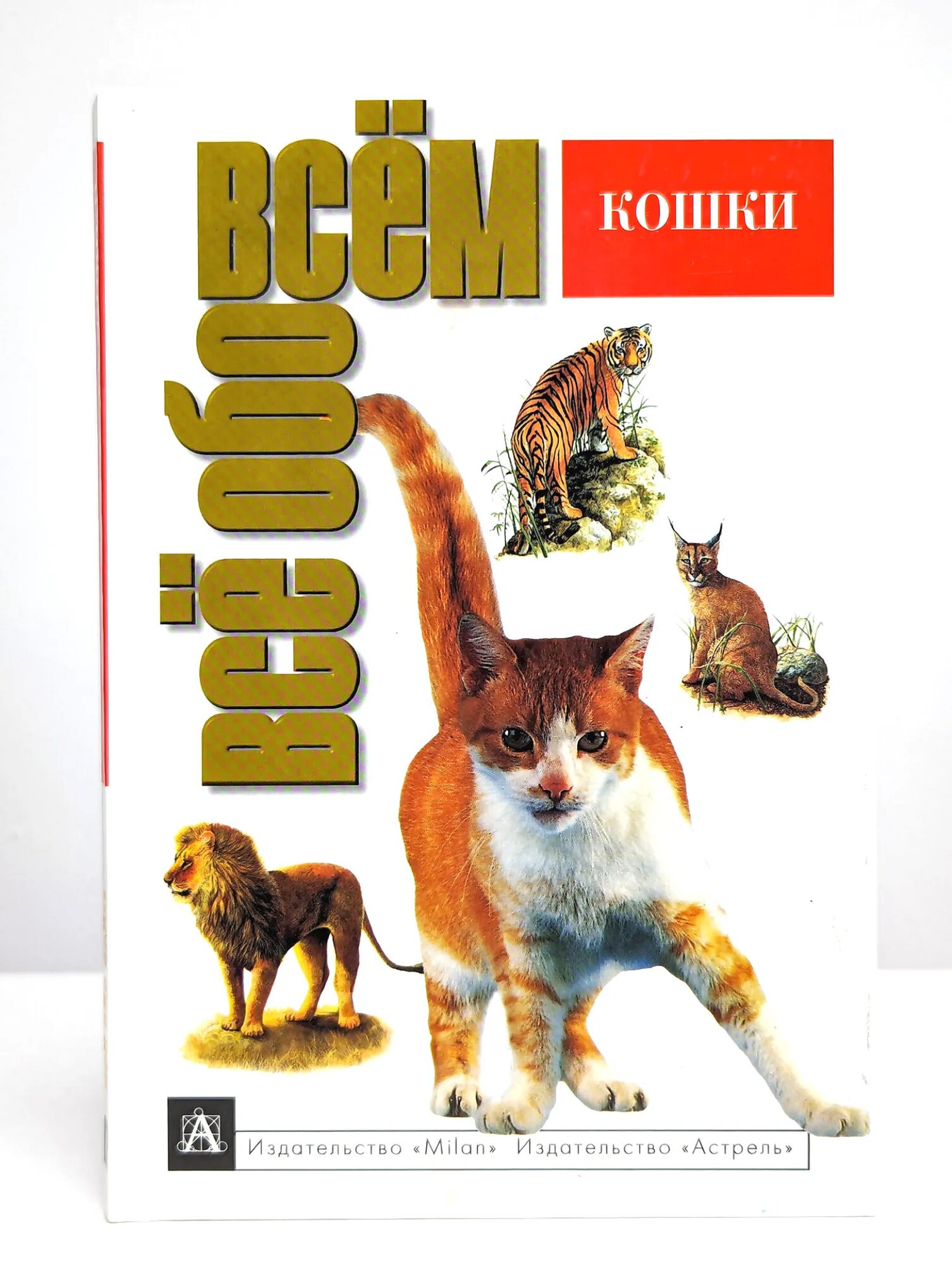 Кошки. Все обо всем Фраттини Стефан 2001