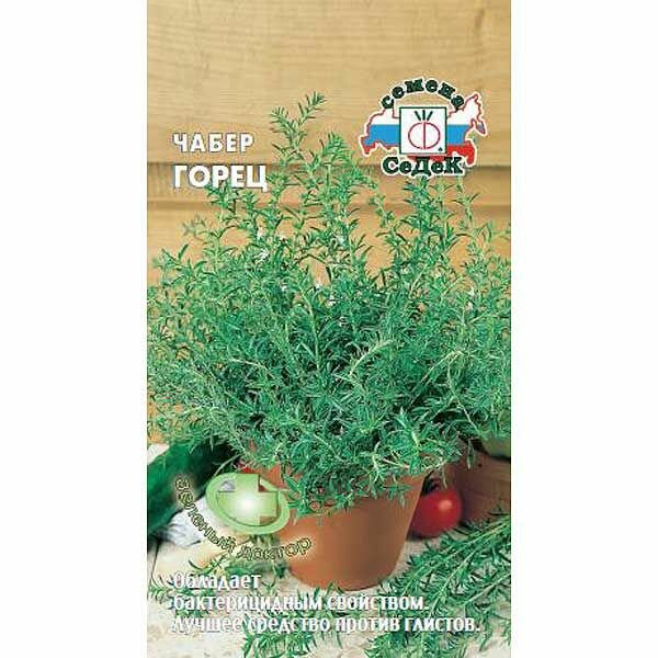 Семена Чабер Горец горный - лекарственный , многолетний полукустарник. СеДек.00071156