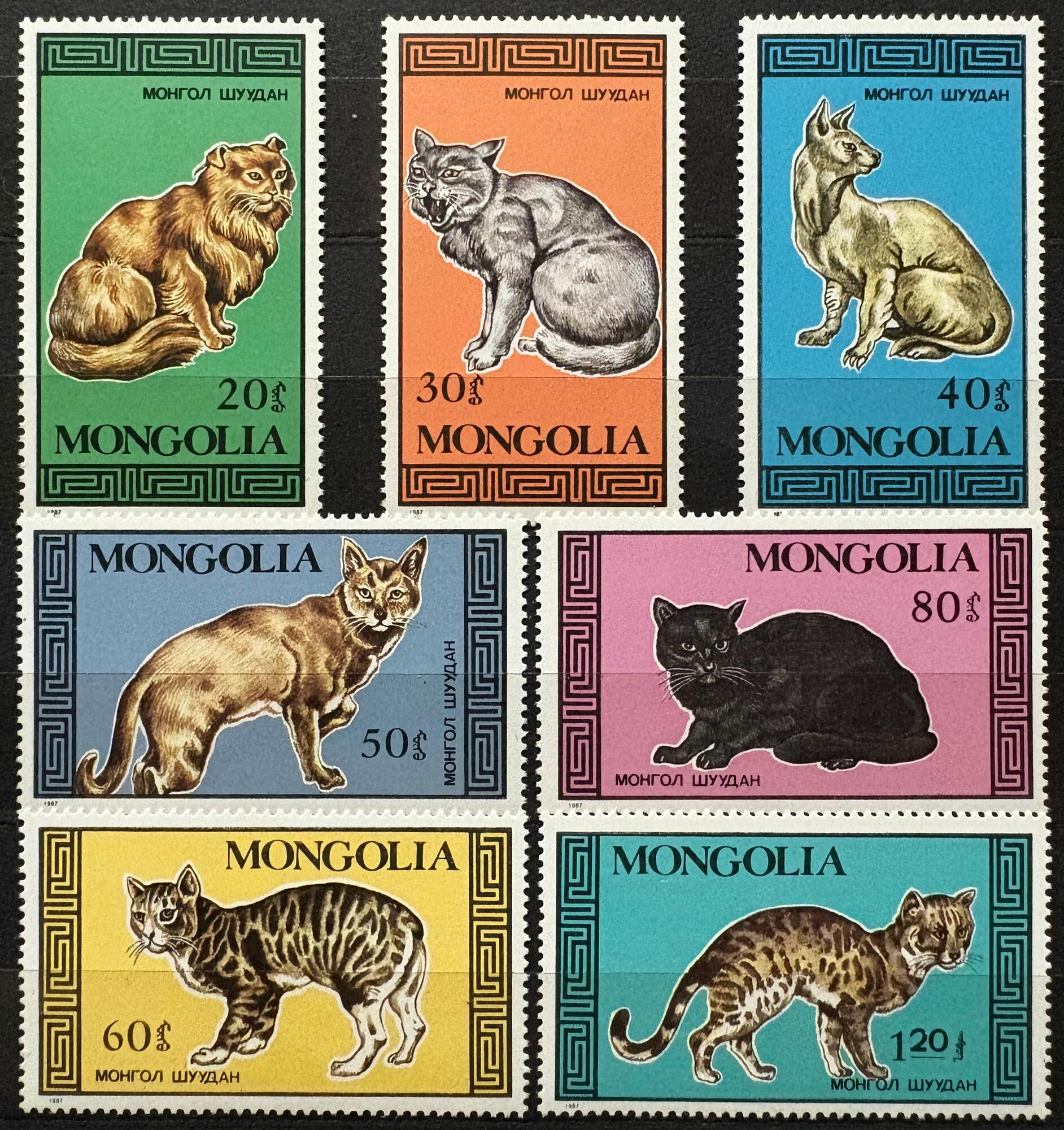 Монголия 1987, Фауна. Кошки