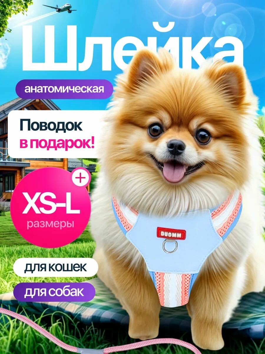 Шлейка для собак и кошек для мелких и средних пород