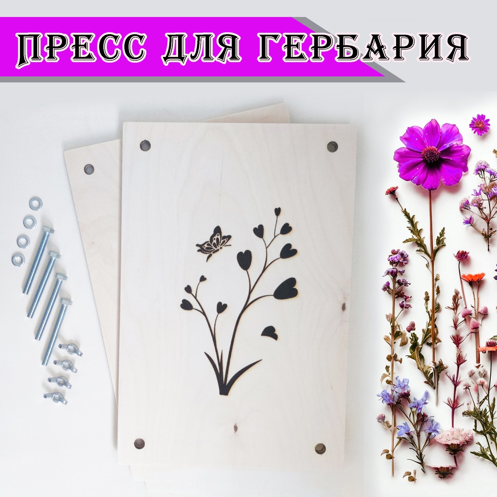 Пресс для гербария
