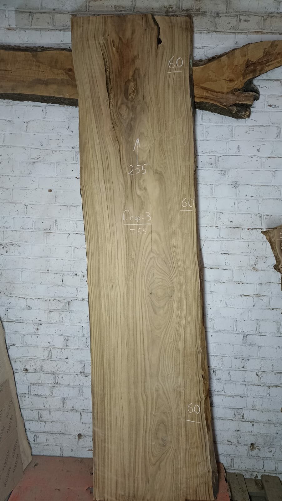 Слэб Японская Софора Соф3