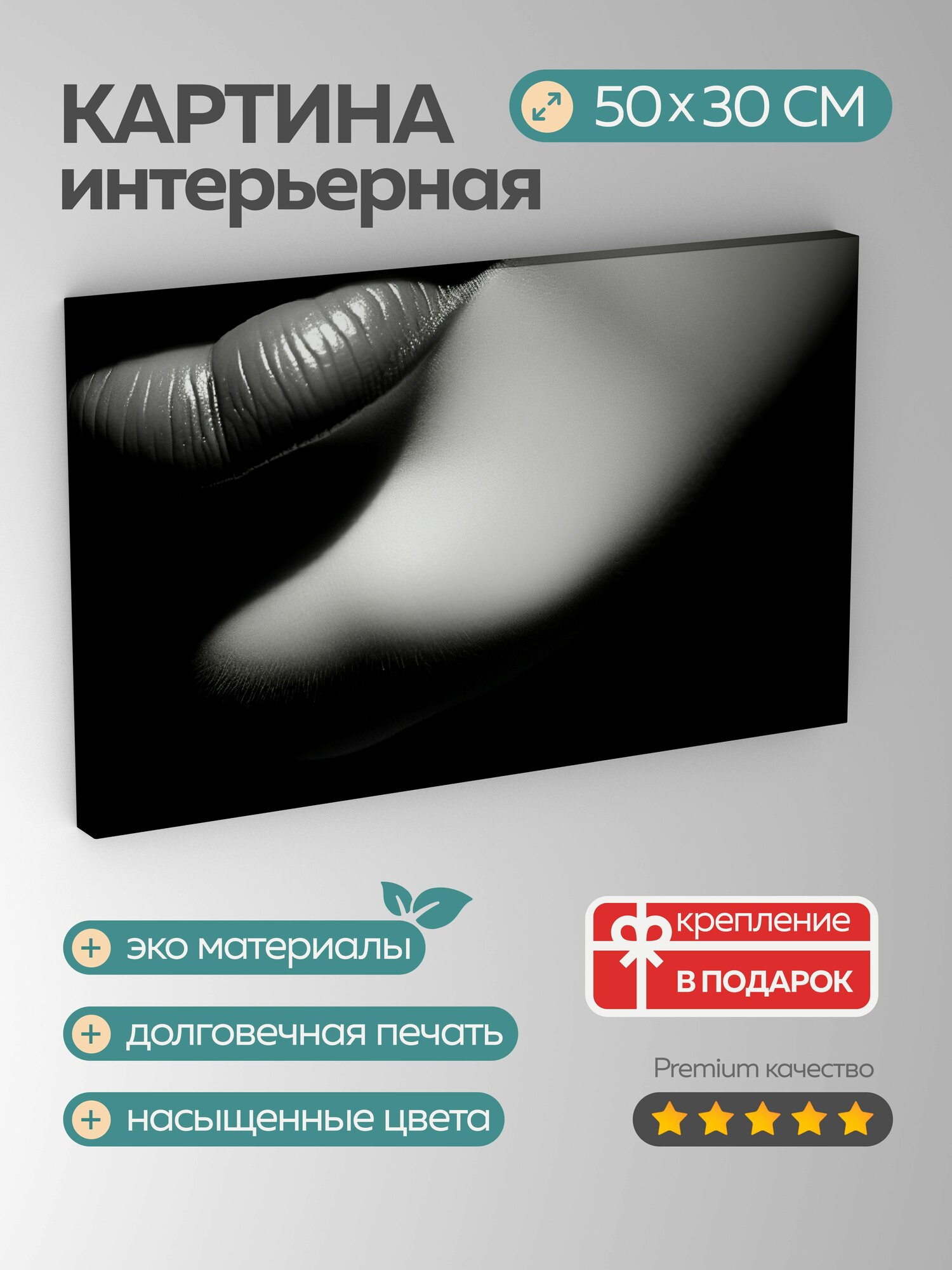 Картина на холсте интерьерная 50х30 см, сюрреализм, фотография, черно-белая, губы, тени, интрига, таинственность