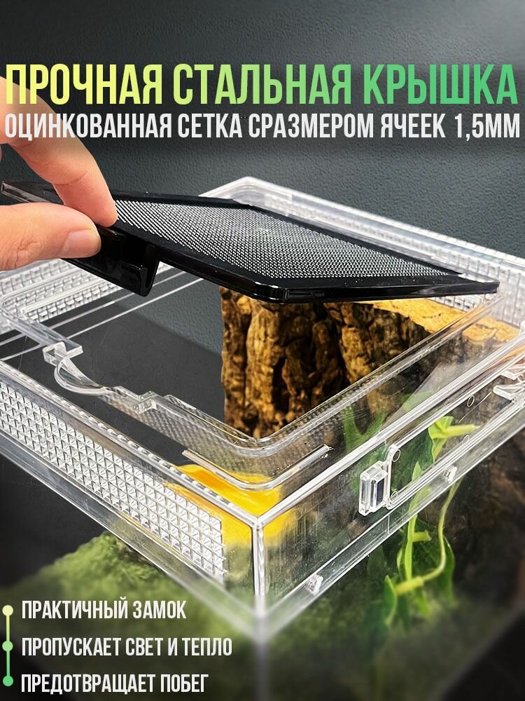 Террариум с крышкой для геккона эублефа