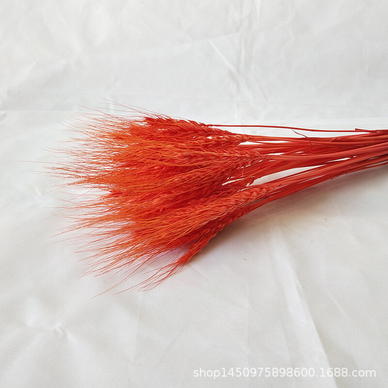 Букет из сухих цветов, пшеничные колосья, 50 штук