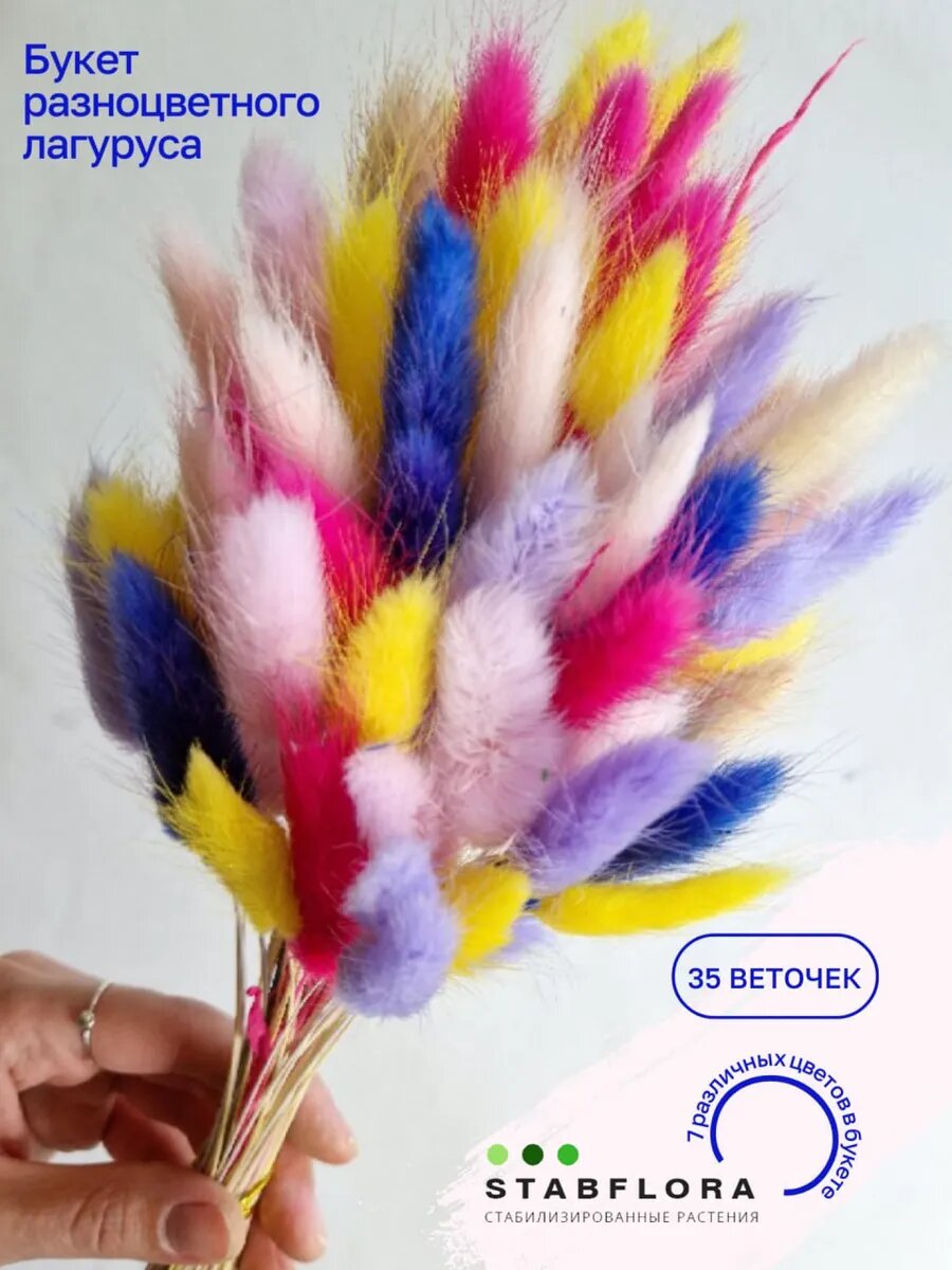 Букет StabFlora "Лагурус", стабилизированный, разноцветный, 45 см