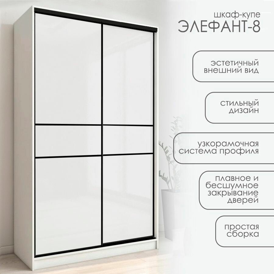 Шкаф-купе Элефант-8