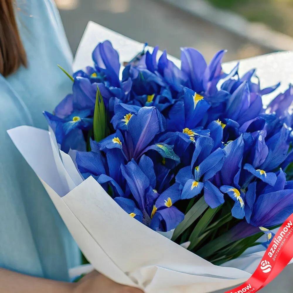Букет из 35 ирисов в белой бумаге с атласной лентой от АзалияНау