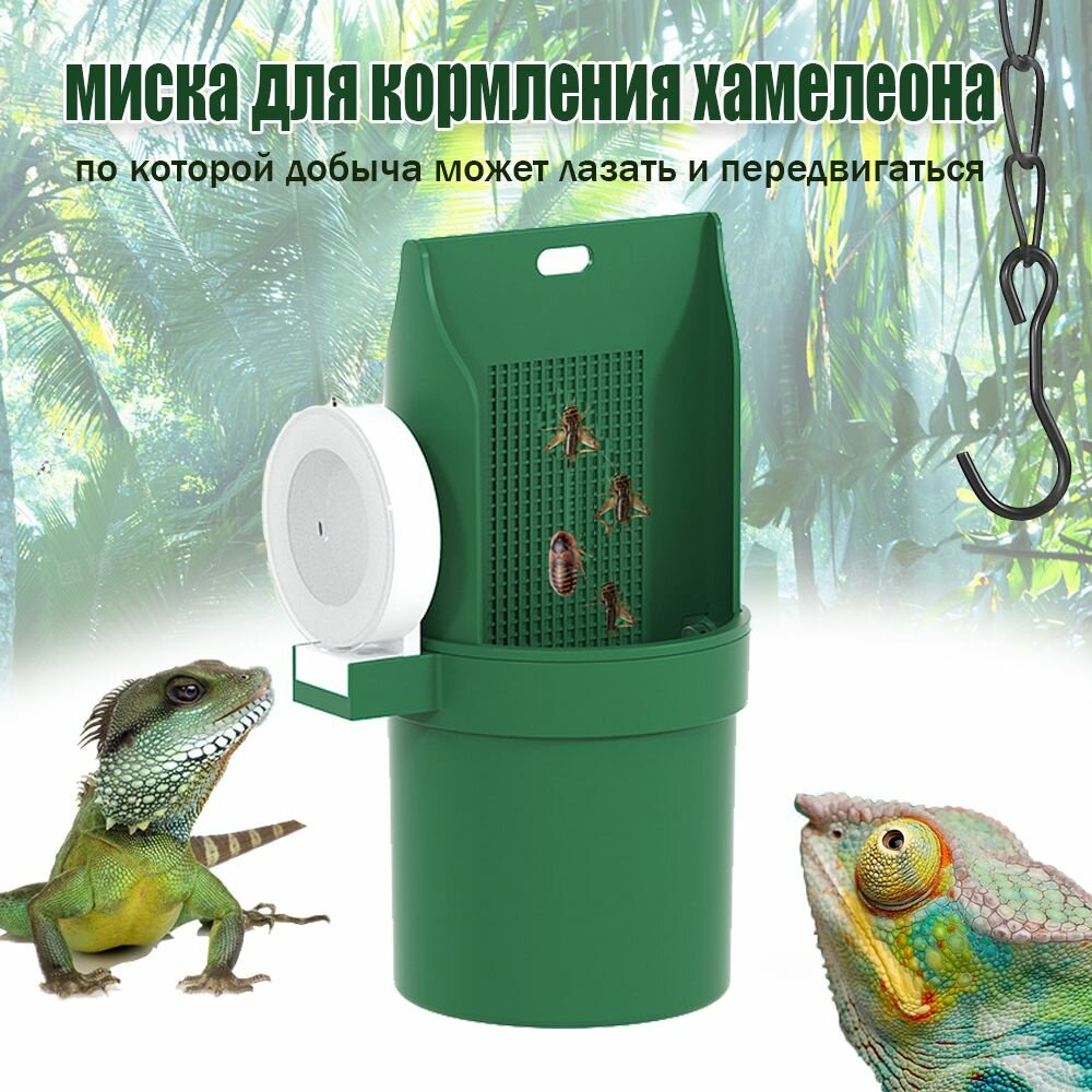 Кормушка-поилка для рептилий, кормушка для ящериц, по которой добыча может лазать и передвигаться, подходит для ящериц, игуан, гекконов, бородатых драконов