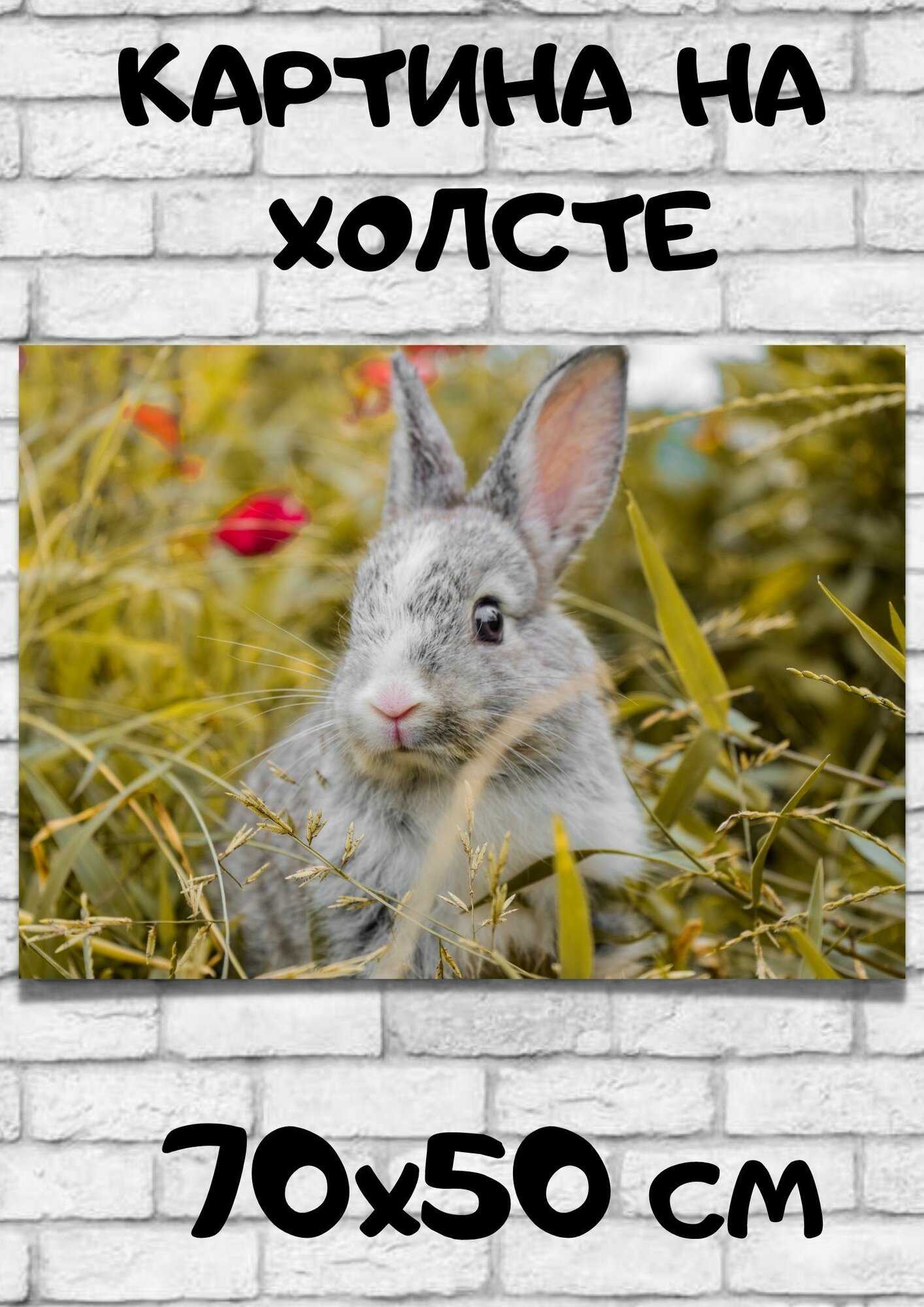 Картина кролики, зайцы в дикой природе, фотокартина на холсте