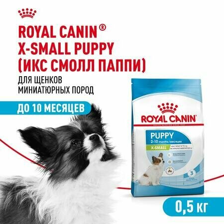 ROYAL CANIN X-SMALL PUPPY 500 г корм сухой для щенков очень мелких размеров до 10 месяцев
