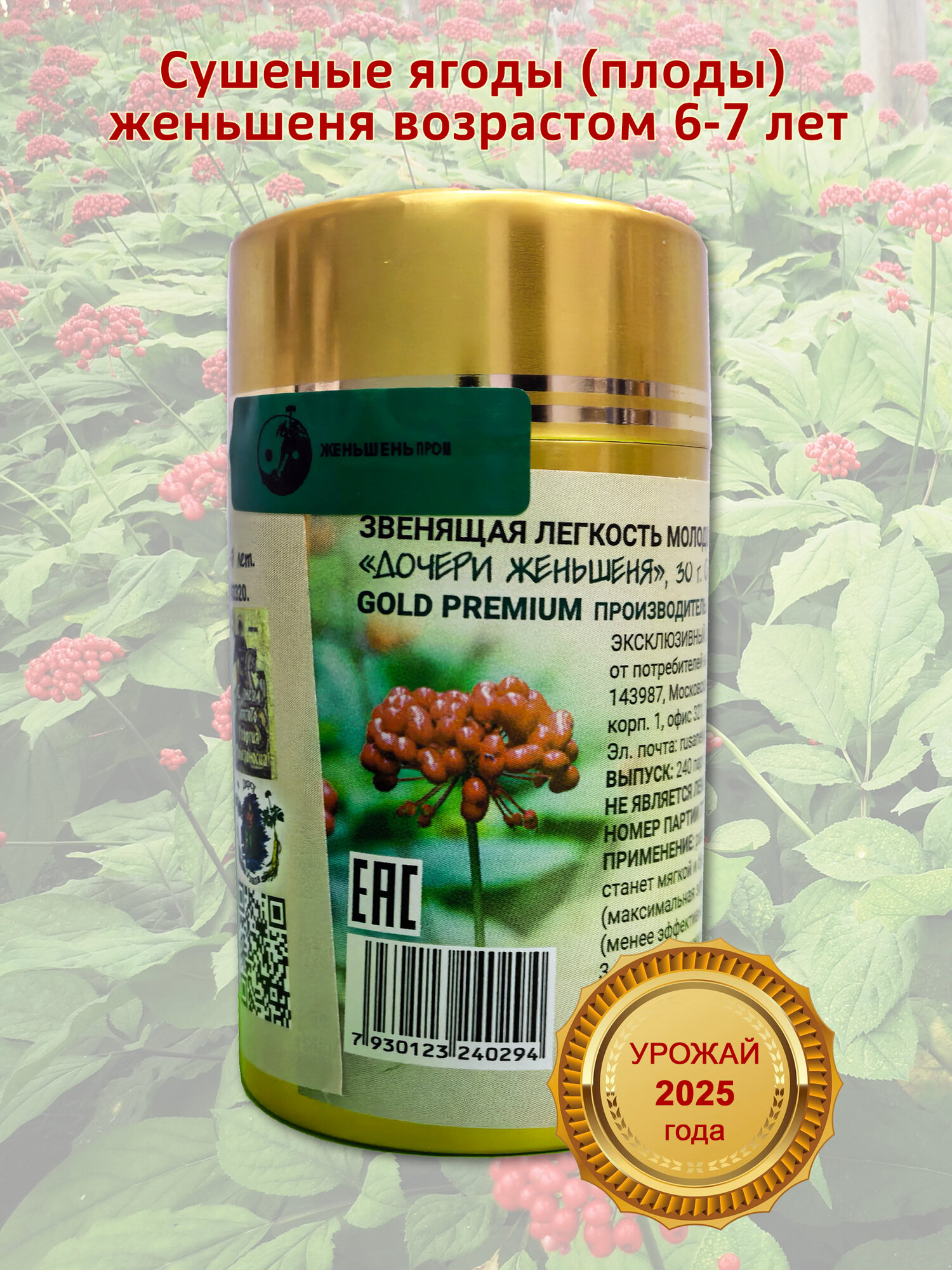 Сушеные ягоды, плоды российского органического женьшеня 6-7 лет "Дочери женьшеня", 30 г