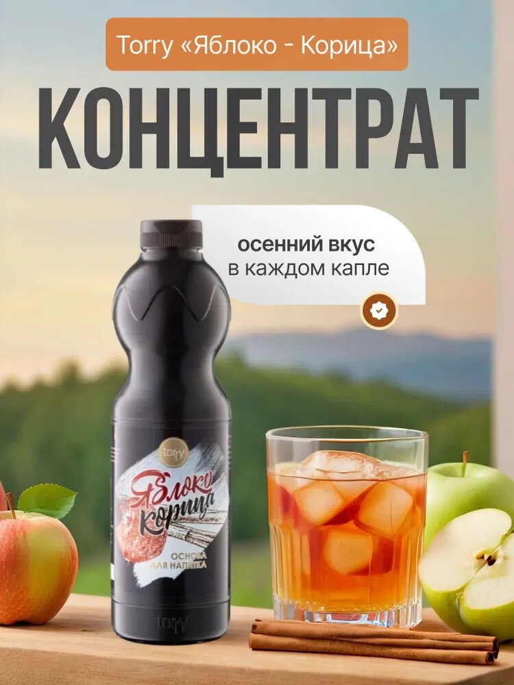 Основа Torry Яблоко Корица, для напитков, коктейлей, десертов, пластиковая бутылка, 1 кг