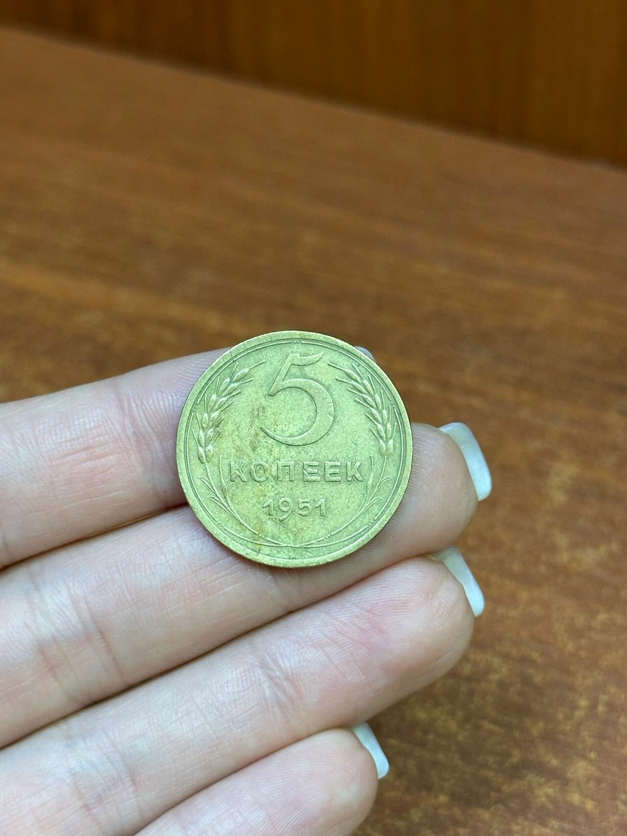 Монета 5 копеек 1951 год СССР Хорошее Состояние! Редкая!