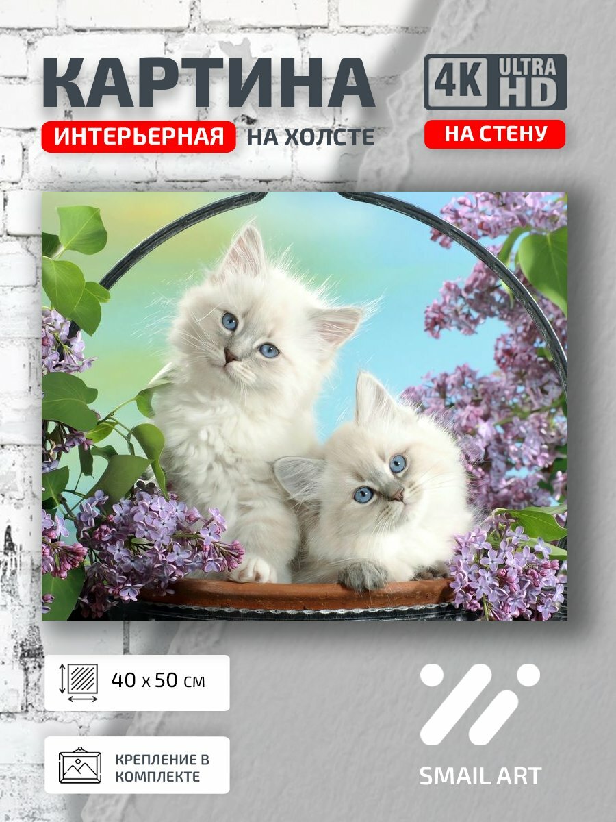 Картина на холсте интерьерная 40 на 50 на стену Умиление Animal для кафе animal style декор