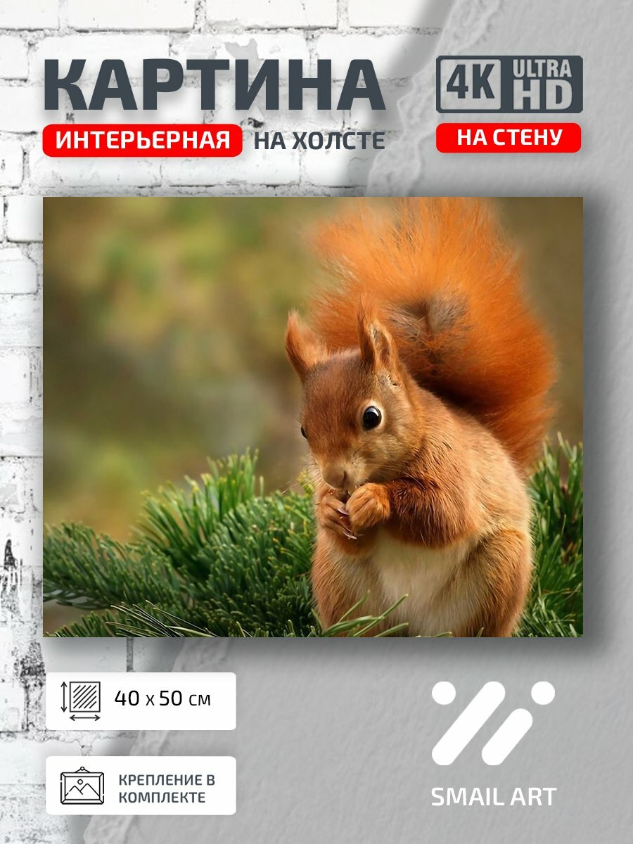 Картина на холсте интерьерная 40 на 50 на стену Сосне Mood для спальни атмосфера интерьер