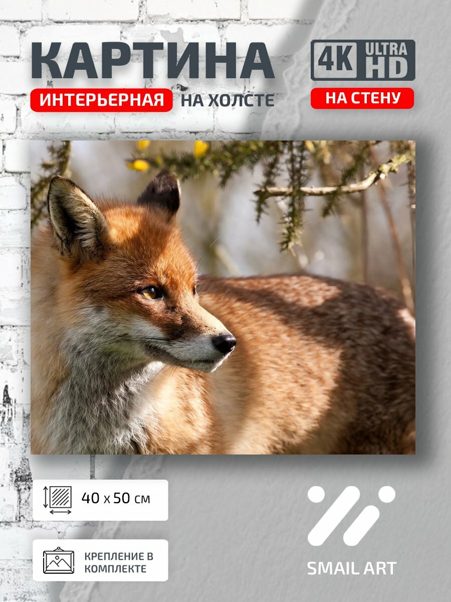 Картина на холсте интерьерная 40 на 50 на стену Шерсть Animal для кафе animal style декор