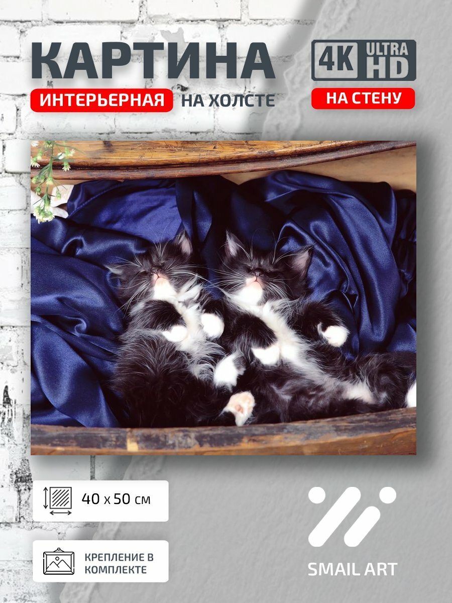 Картина на холсте интерьерная 40 на 50 на стену Сон1 Mood для гостиной атмосфера интерьер