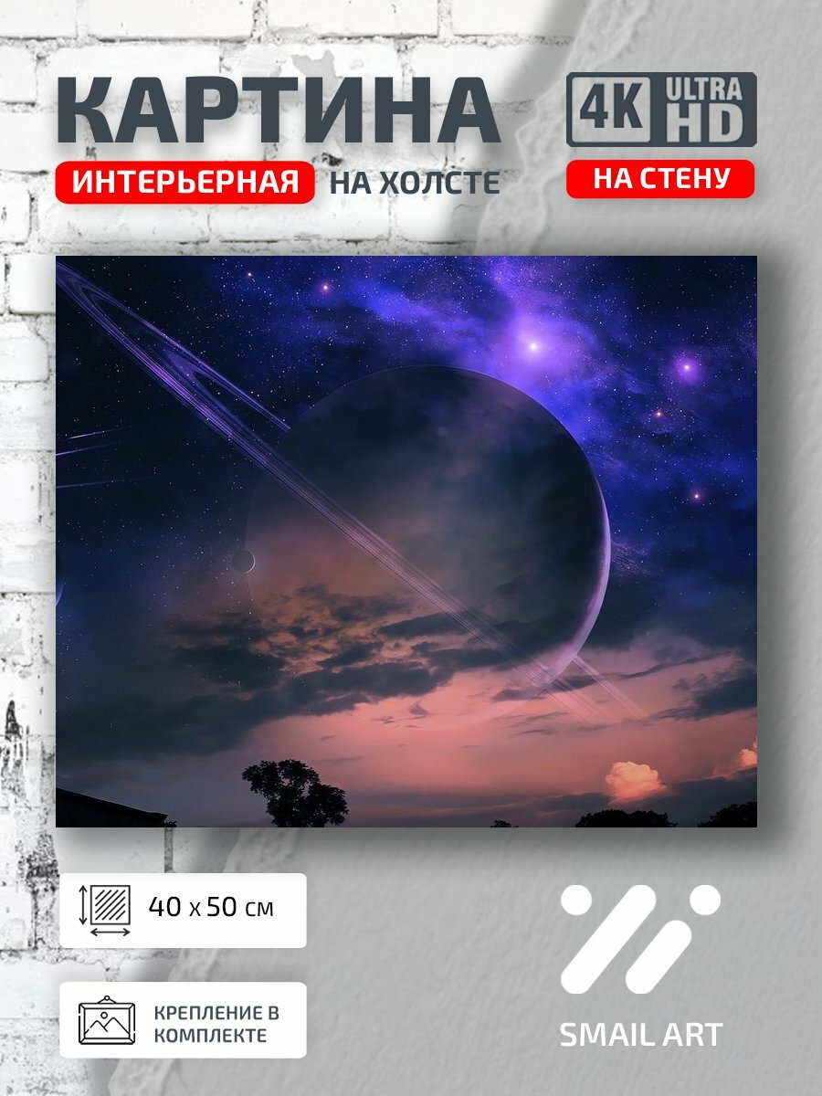 Картина на холсте интерьерная 40 на 50 на стену Вид Space для кабинета космос интерьер