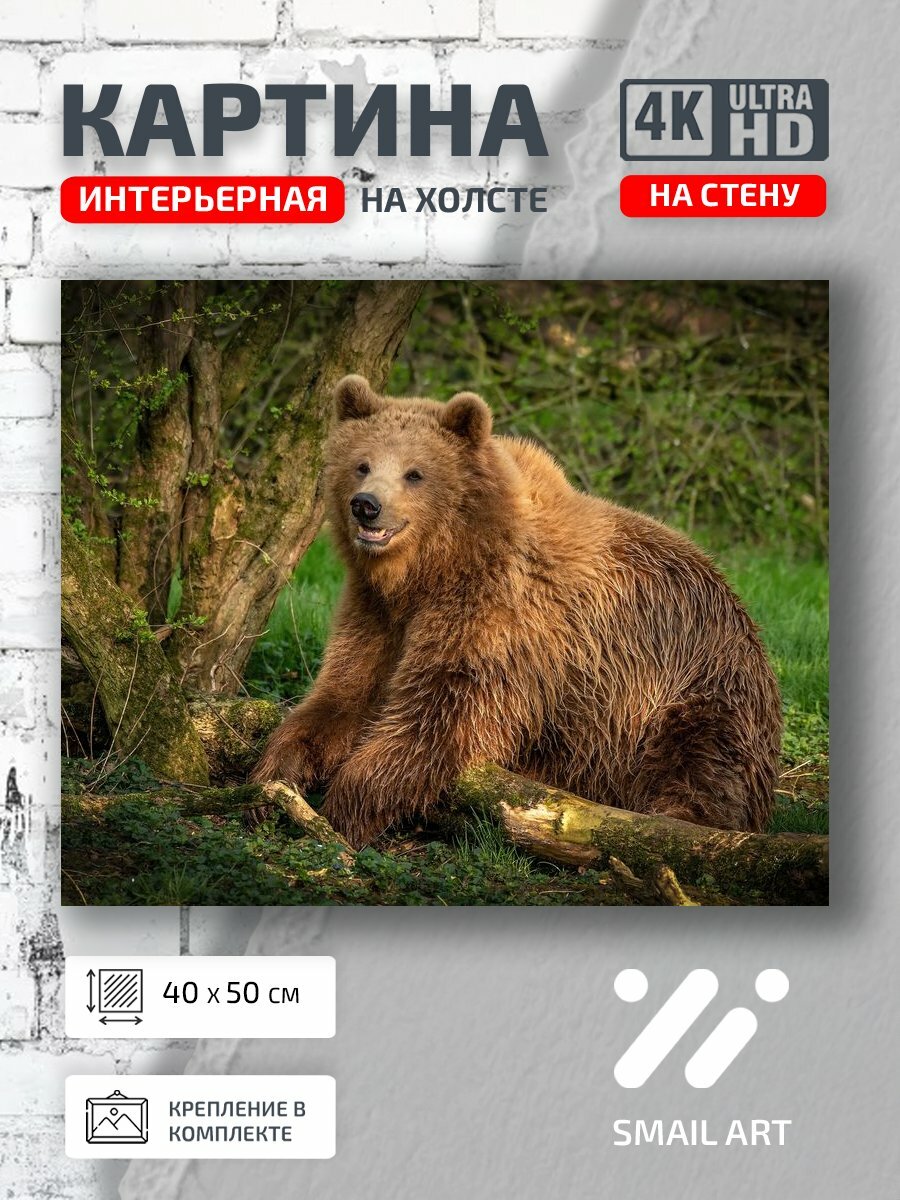Картина на холсте интерьерная 40 на 50 на стену Дерева Landscape для гостиной пейзаж декор