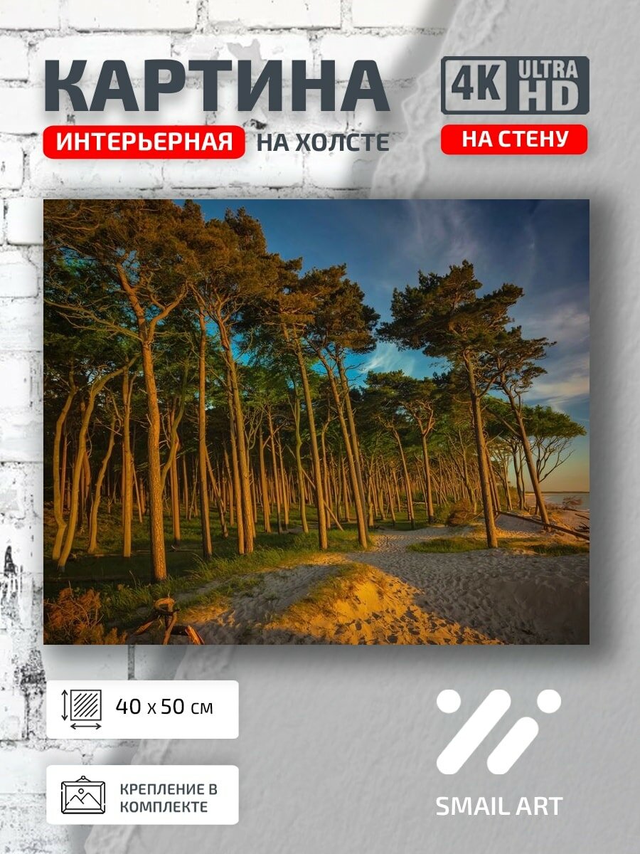 Картина на холсте интерьерная 40 на 50 на стену Природа Германия для кафе пейзаж