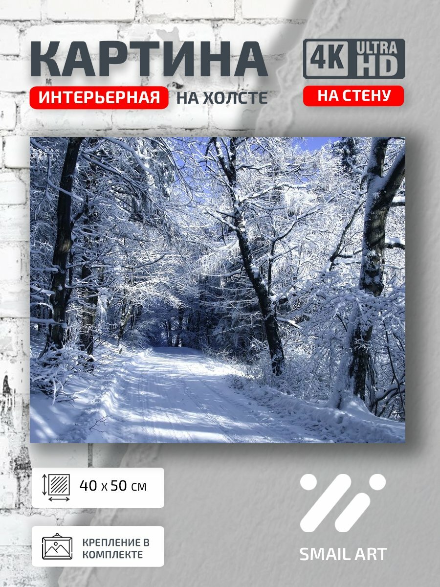 Картина на холсте интерьерная 40 на 50 на стену Снег Landscape для спальни пейзаж интерьер