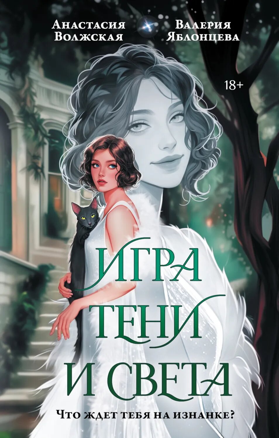 Игра тени и света [Цифровая книга]