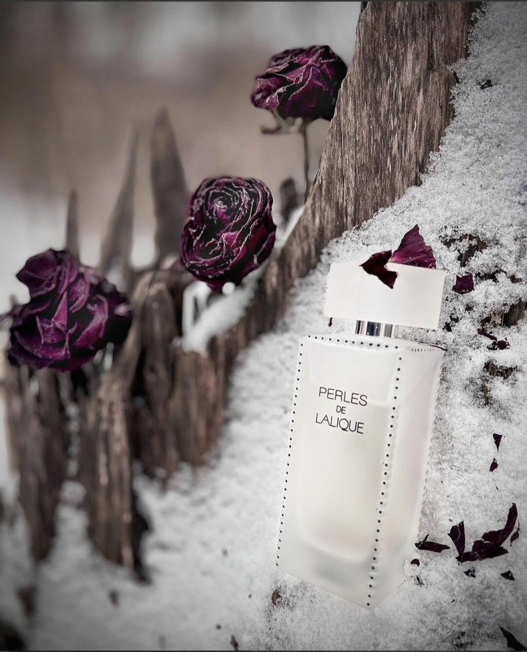 Парфюмерная вода Lalique Perles De Lalique 3 мл, Жемчужина и Лалик, оригинал