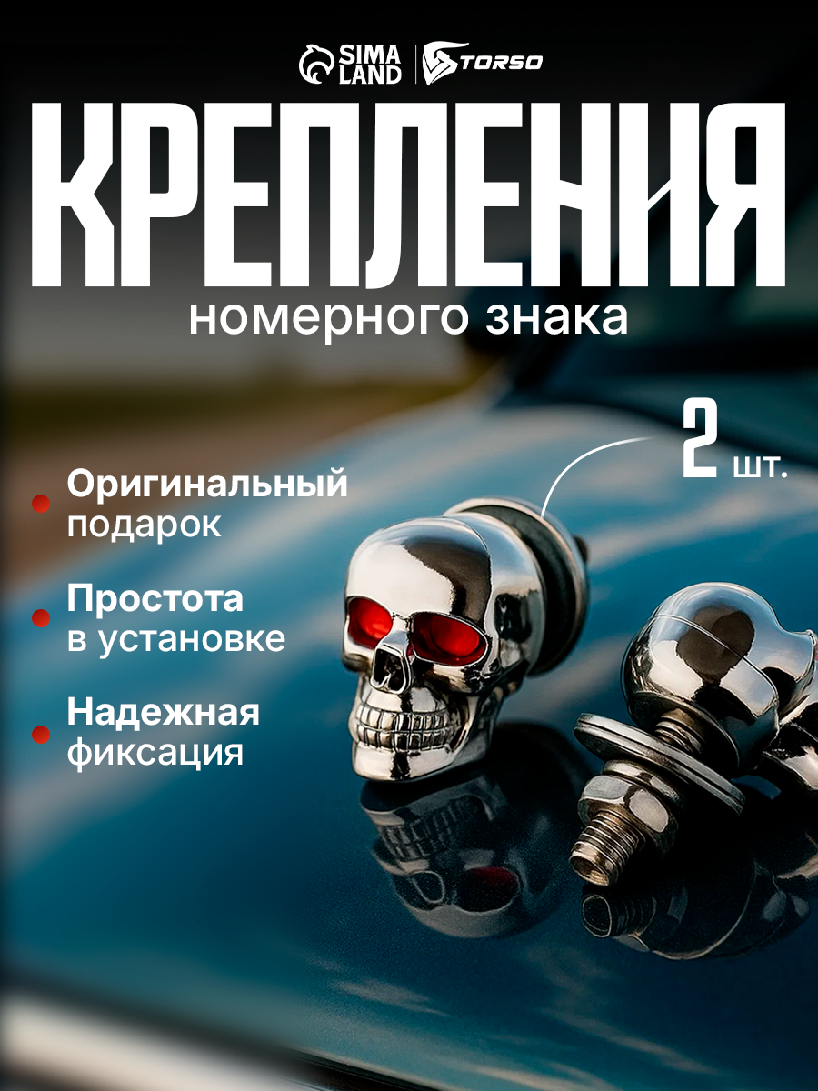 Болт крепления номерной рамки TORSO, череп, набор 2 штуки, серебристый
