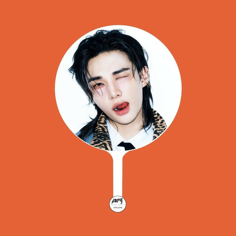 Stray Kids ApopGong (THIS & THAT) эксклюзивная подборка фотографий, версия A Hyunjin
