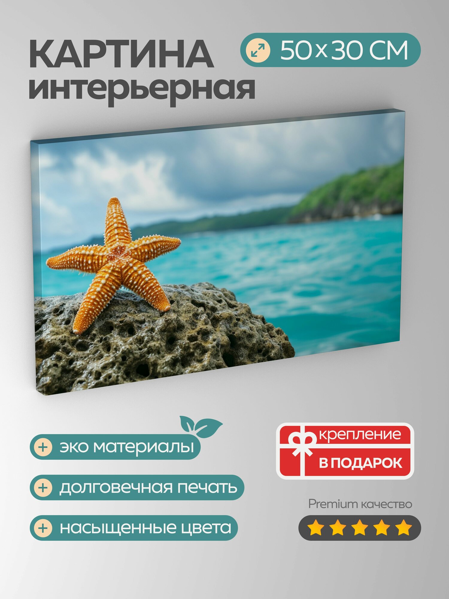 Картина на холсте интерьерная 50х30 см, фотография, морская звезда, скала, бирюзовые воды, море, подводный мир